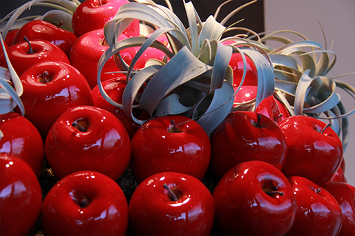 Les pommes rouges de l'automne - Symphonie Florale