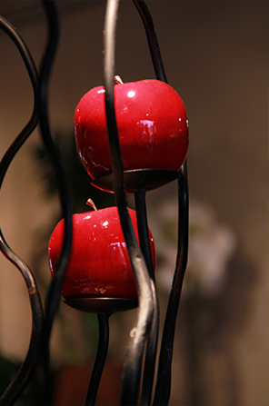 Les pommes rouges de l'automne - Symphonie Florale