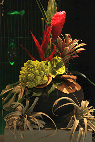 Les fleurs exotiques - Symphonie Florale