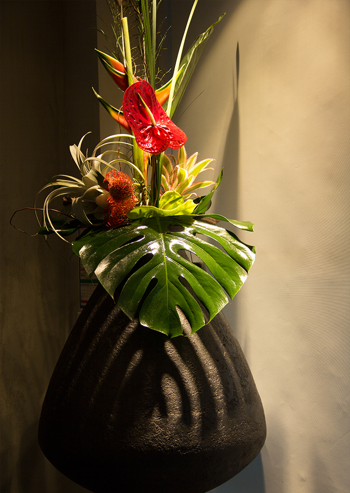 Les fleurs exotiques - Symphonie Florale