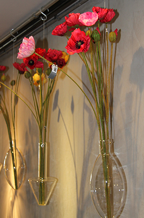 Des coquelicots & des pavots... - Symphonie Florale