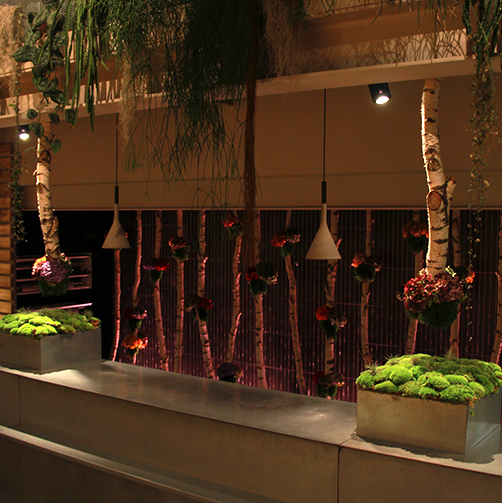 Hortensias I Fleuriste montpellier juvignac Symphonie Florale