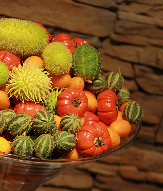 Hortensias I Fleuriste montpellier juvignac Symphonie Florale