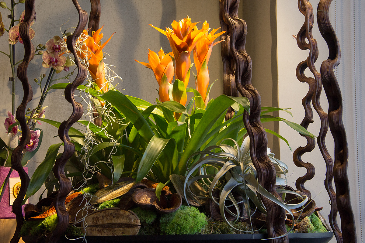 La saison de l'automne - Symphonie Florale