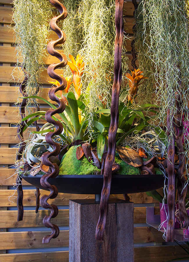 La saison de l'automne - Symphonie Florale