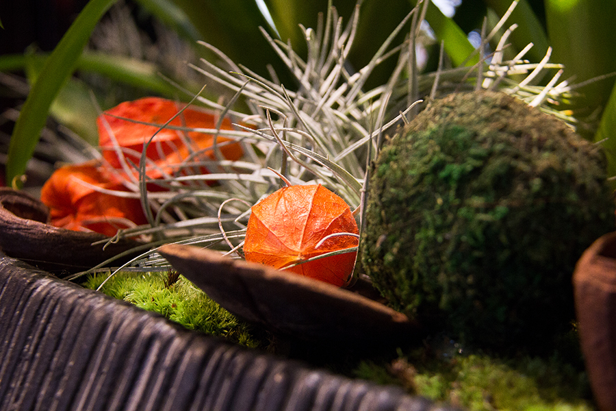 La saison de l'automne - Symphonie Florale