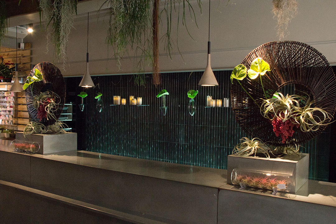 Une vitrine aux couleurs de la nature - Symphonie Florale