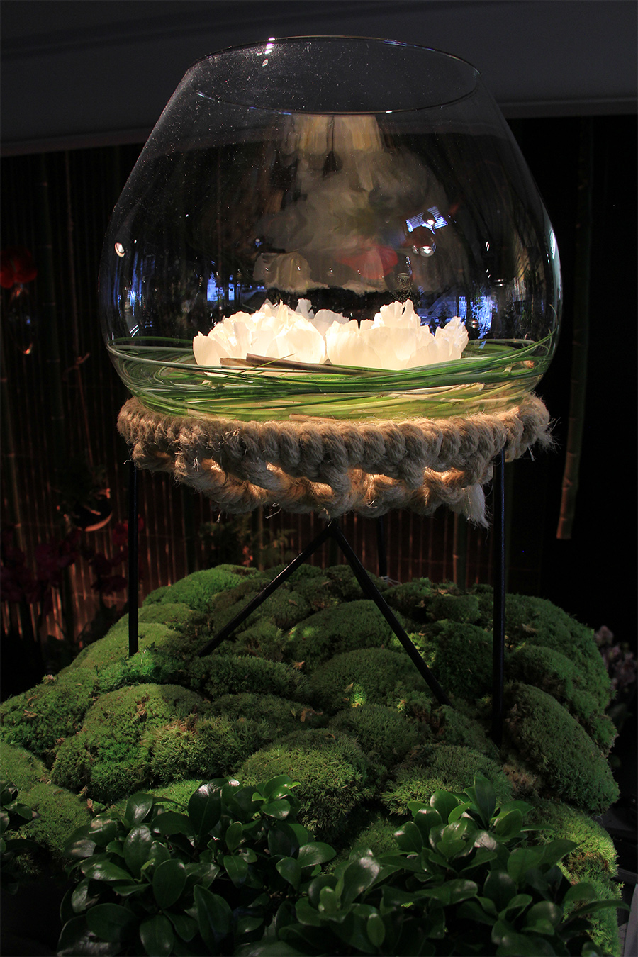 les plantes vertes - fleuriste - juvignac - montpellier