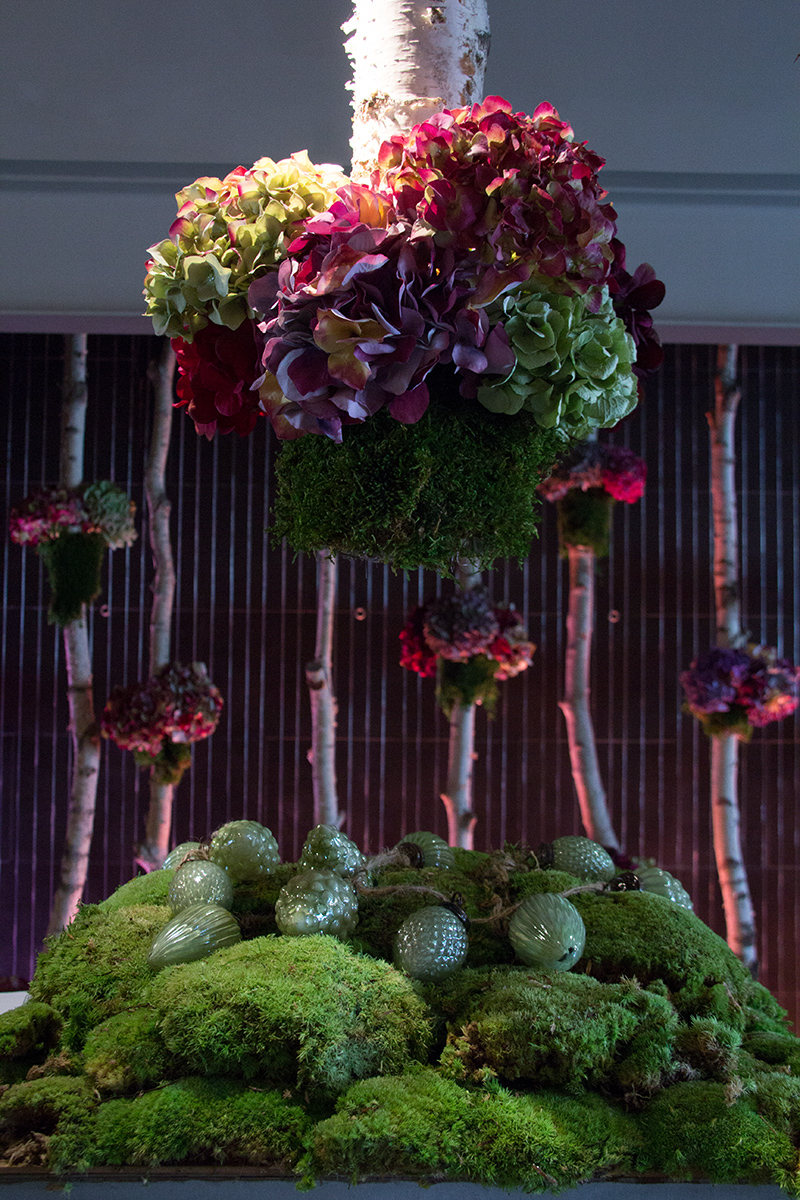Hortensias I Fleuriste montpellier juvignac Symphonie Florale