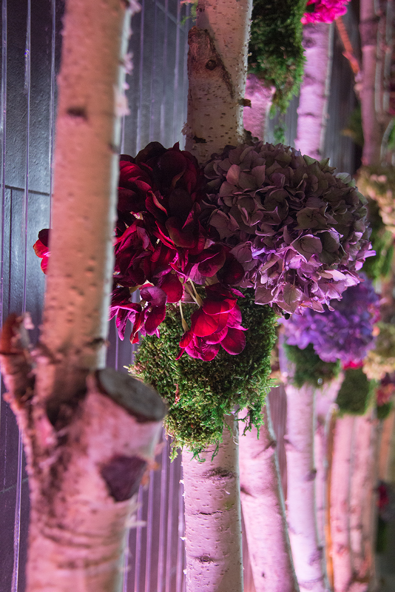 Hortensias I Fleuriste montpellier juvignac Symphonie Florale