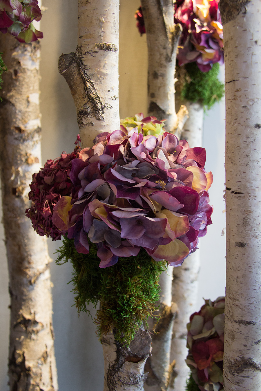 Hortensias I Fleuriste montpellier juvignac Symphonie Florale