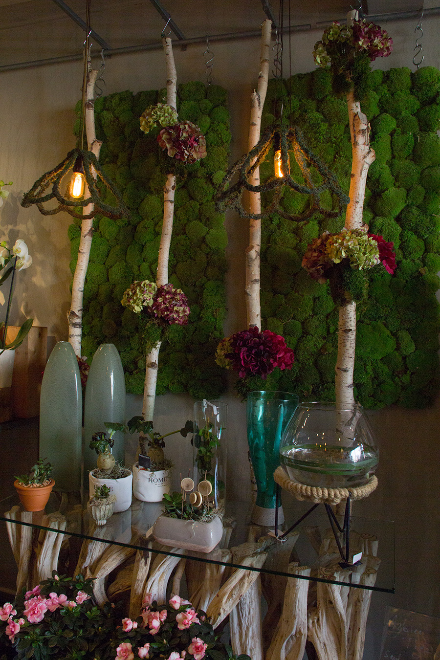 Hortensias I Fleuriste montpellier juvignac Symphonie Florale