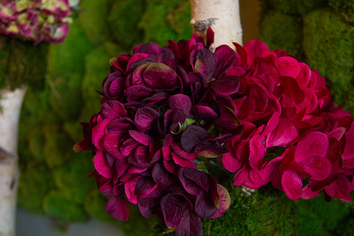 Hortensias I Fleuriste montpellier juvignac Symphonie Florale