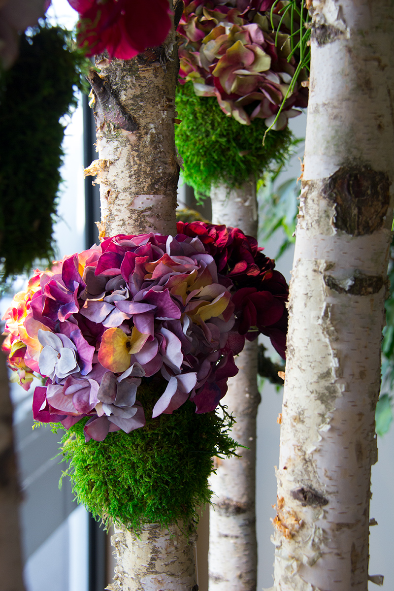 Hortensias I Fleuriste montpellier juvignac Symphonie Florale