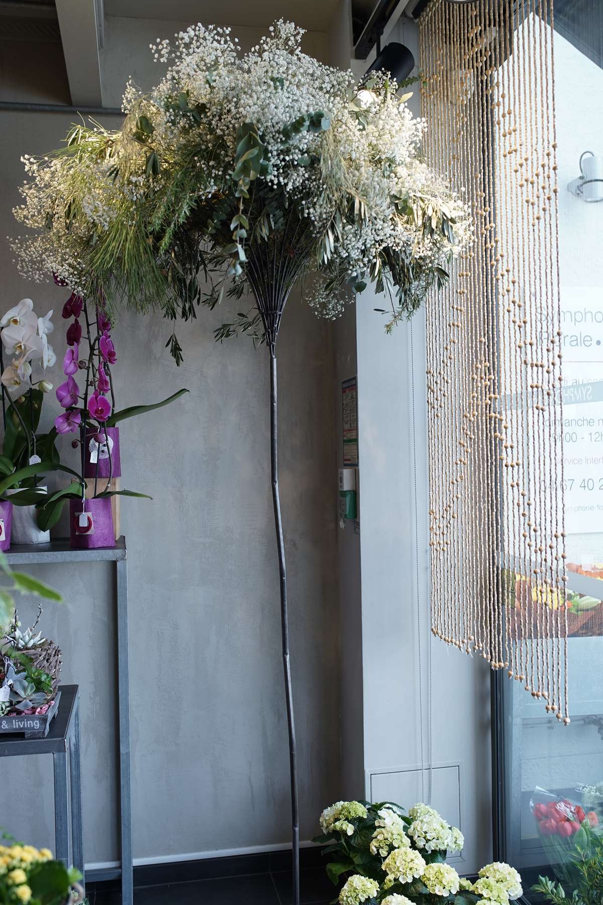 les gypsophiles : plantes avec petites fleurs blanches