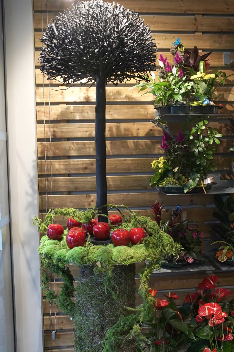 les pommes rouges décoratives I Symphonie florale fleuriste juvignac