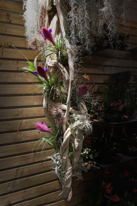 fleuriste-saussan-symphonie-florale (5) - Symphonie Florale